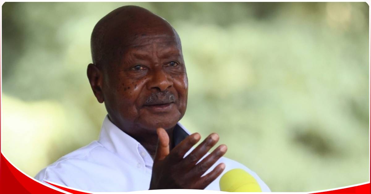 Museveni honours bush fighters who brought him to power