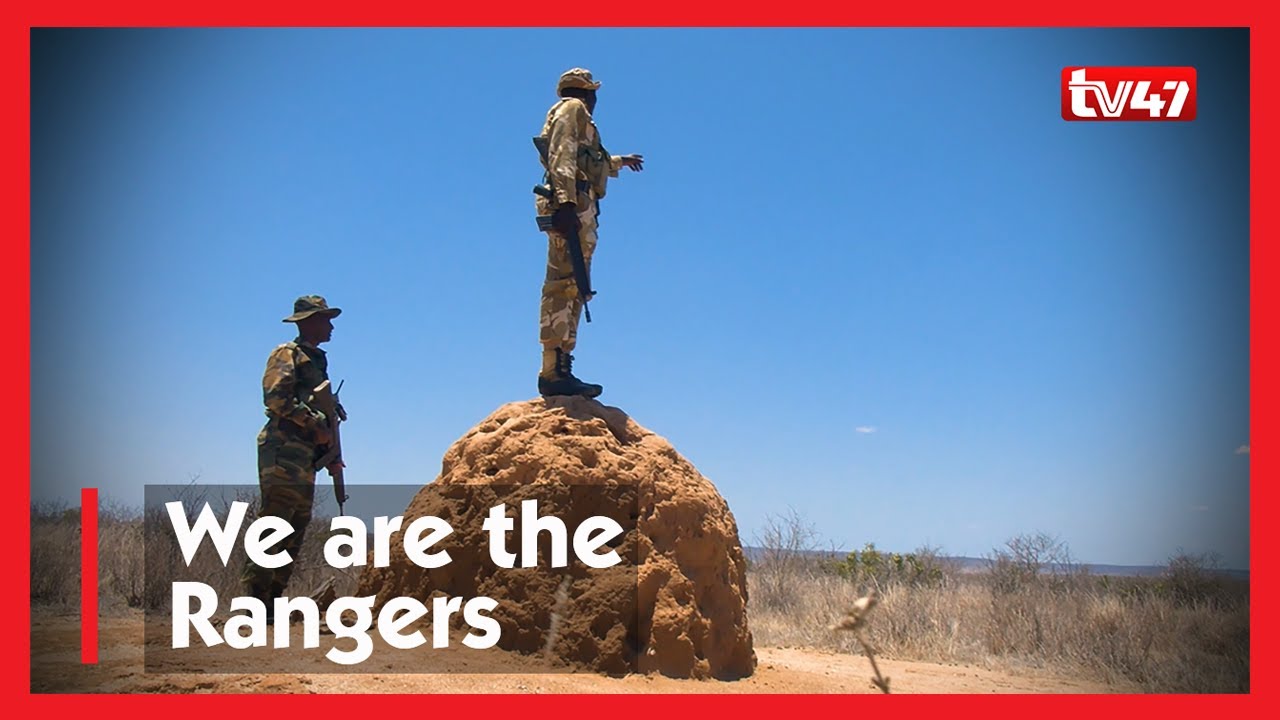 Meet the wildlife rangers risking their lives to protect wild animals ...