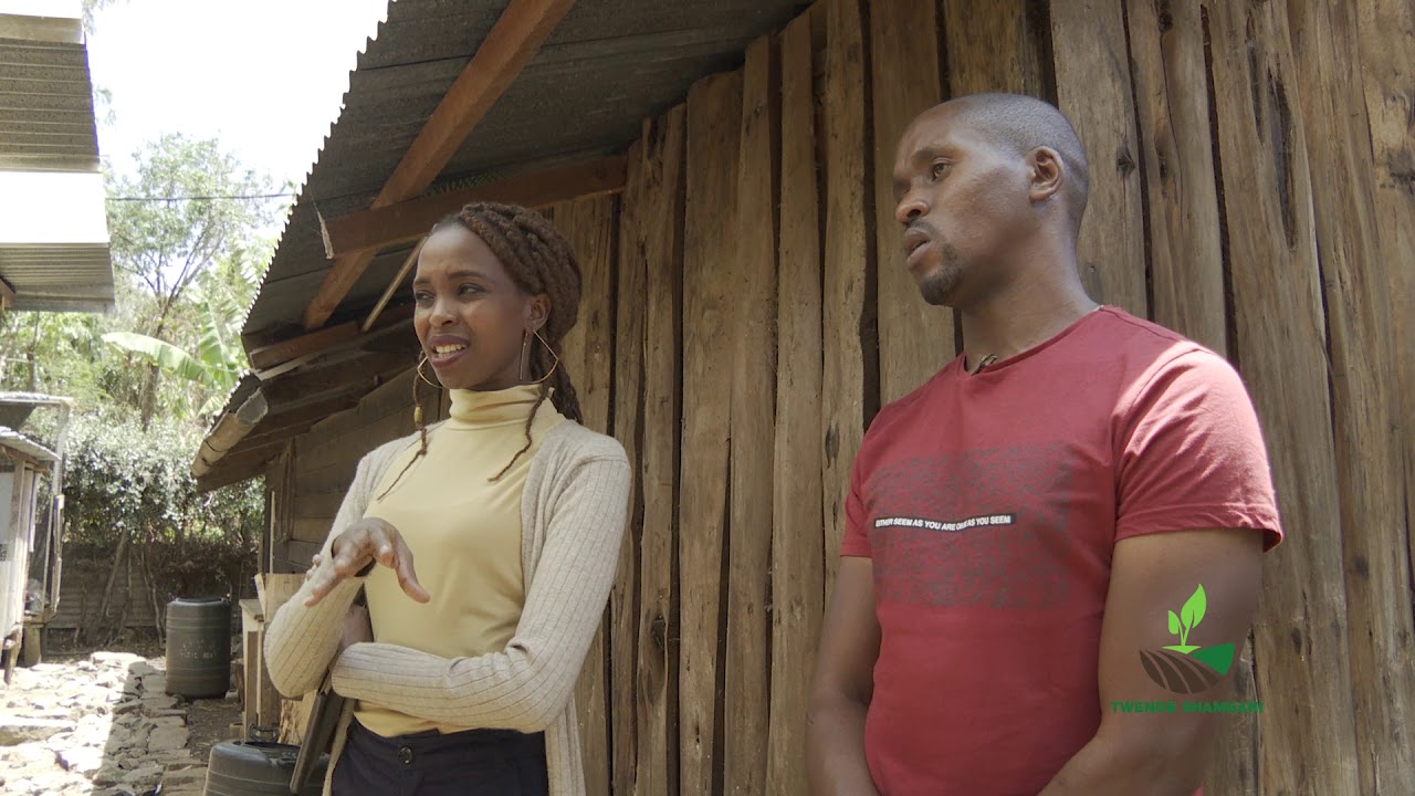 Twende shambani - Shamba la Tausi Farm EP 4 PART 2 - TV47 Digital