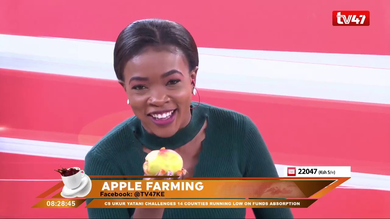 Apple growing in Kenya - TV47 Digital