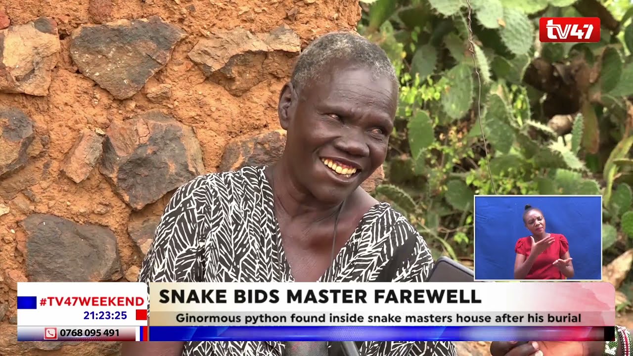 Python slithers into man's house in Baringo and lies on his final ...