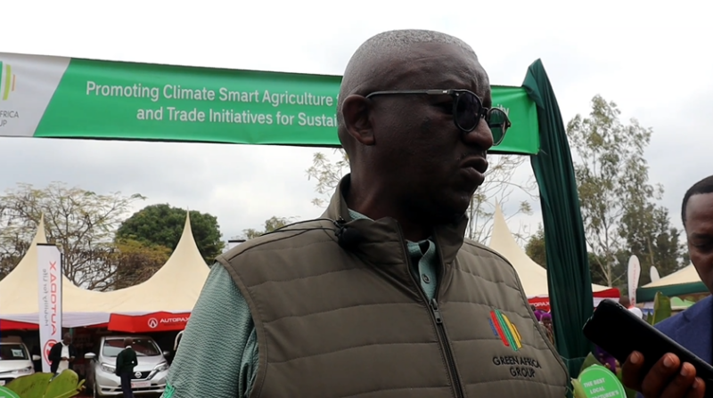 Innovation, entrepreneurship will address joblessness, says ...