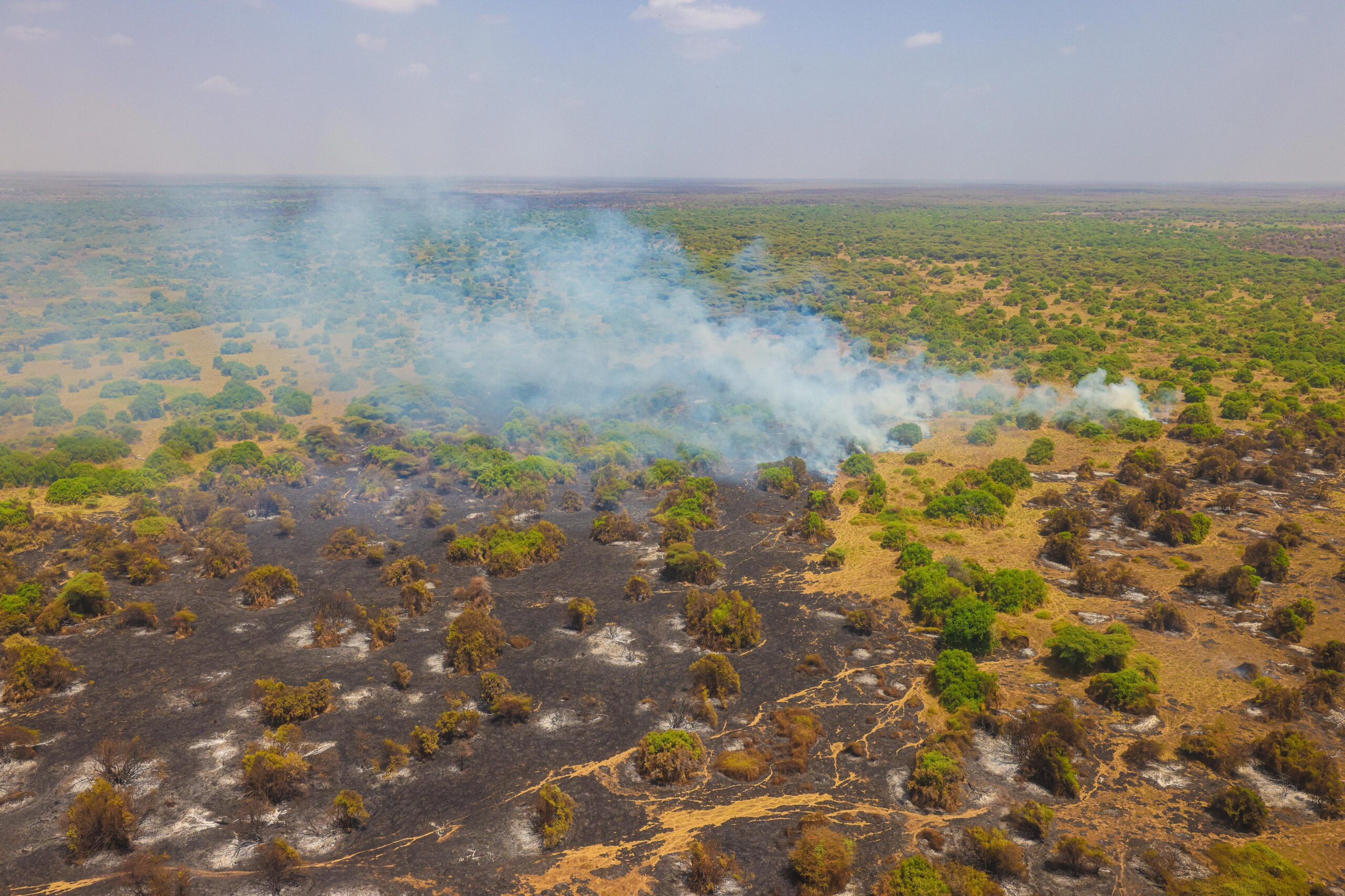 Isiolo forest fire now contained as State warns against reckless ...