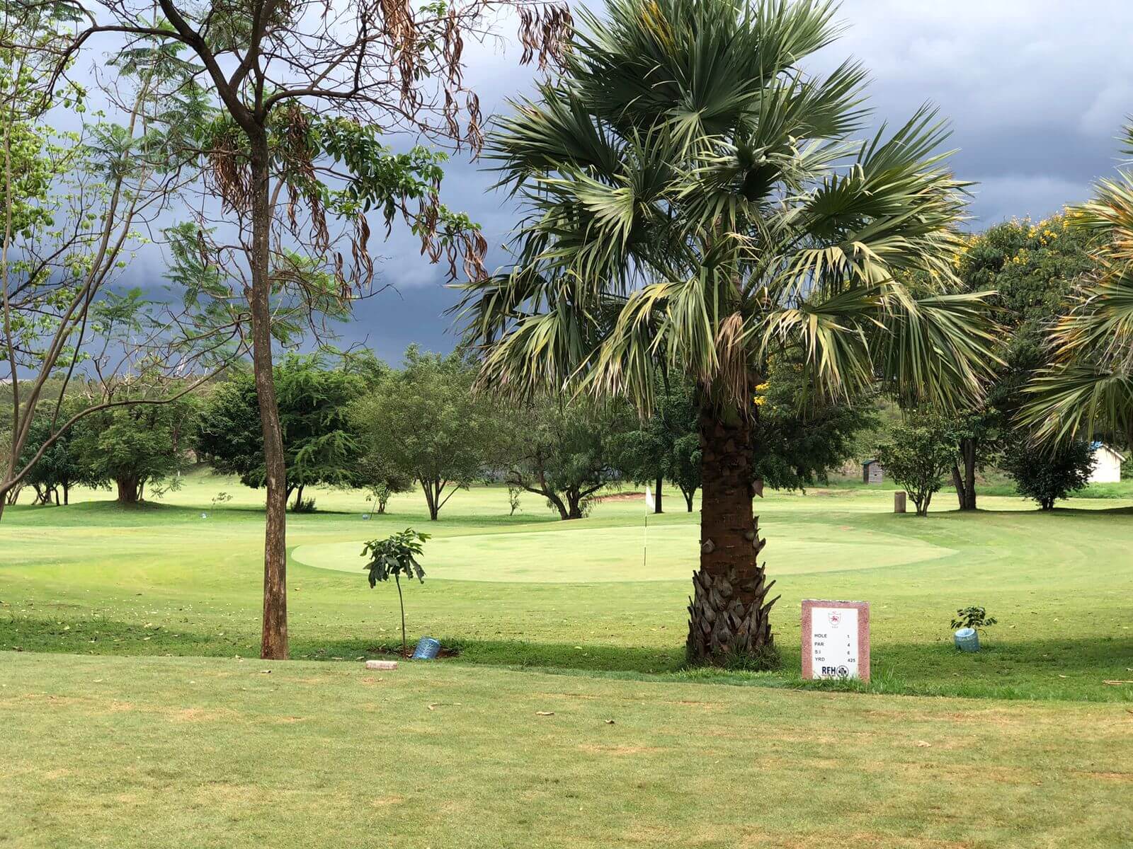 The Lady Captain's Tourney has attracted close to 300 top golfers