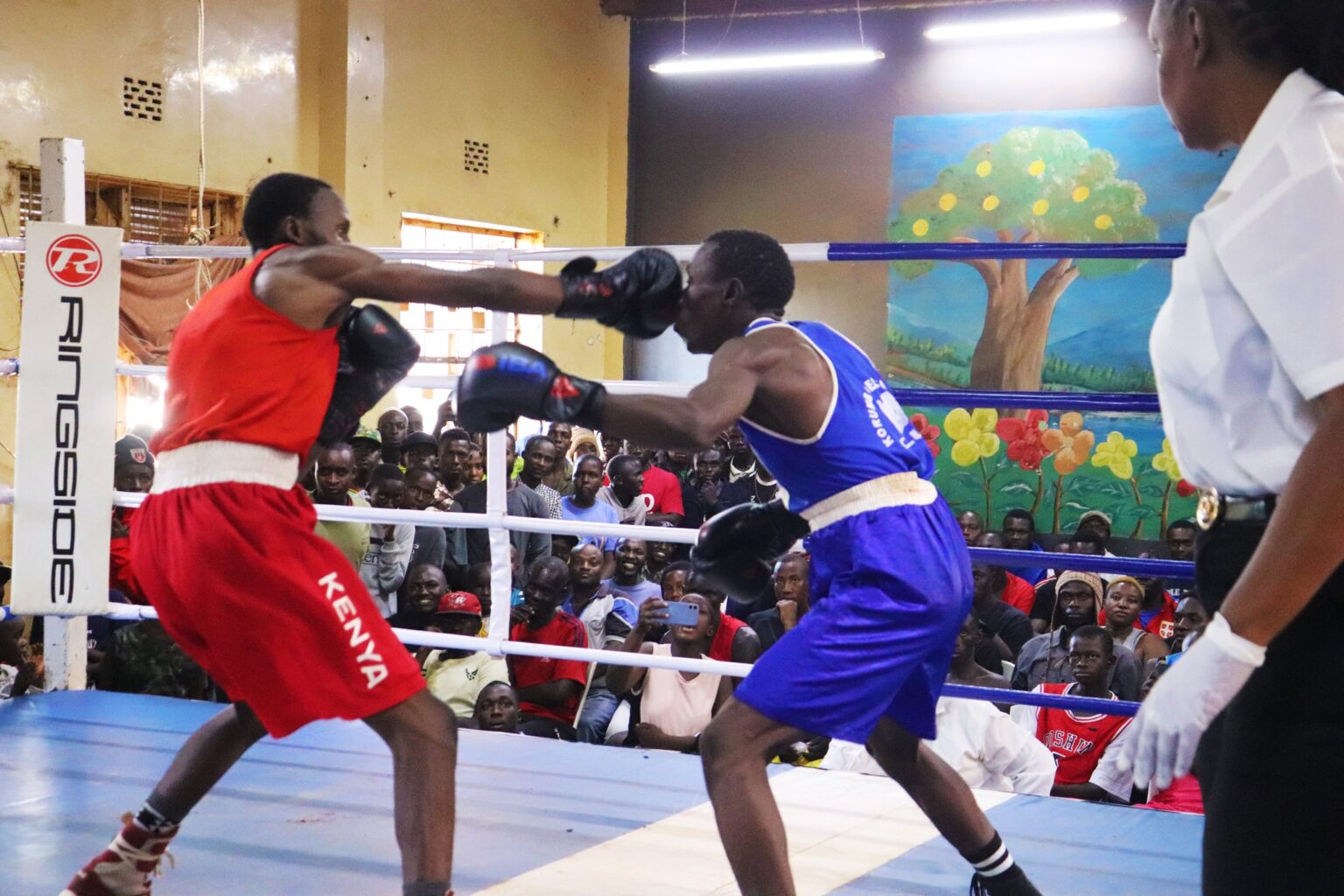 Nairobi charter Hall set to host 2025 Kenya Open boxing championship ...