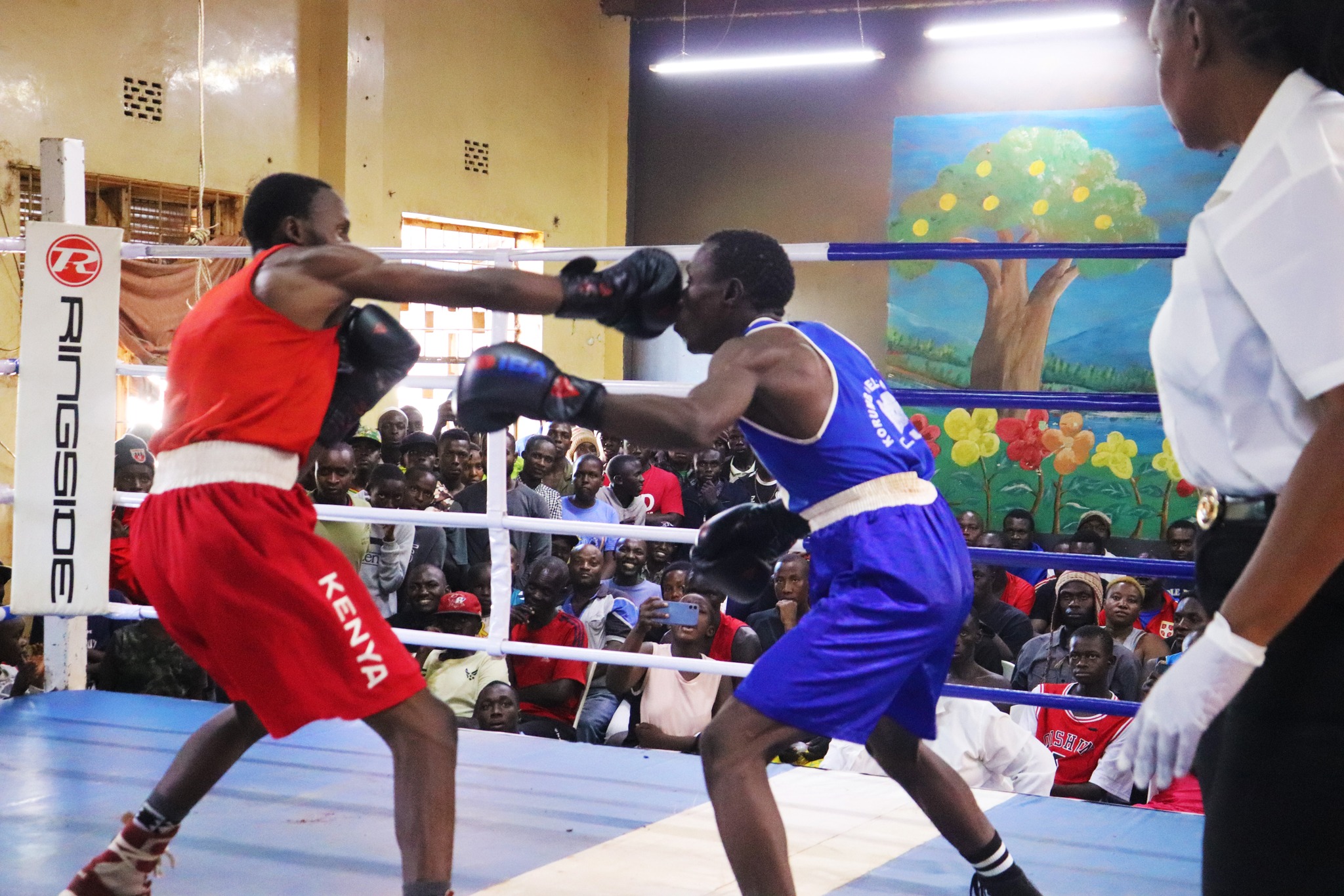 Nairobi charter Hall set to host 2025 Kenya Open boxing championship ...