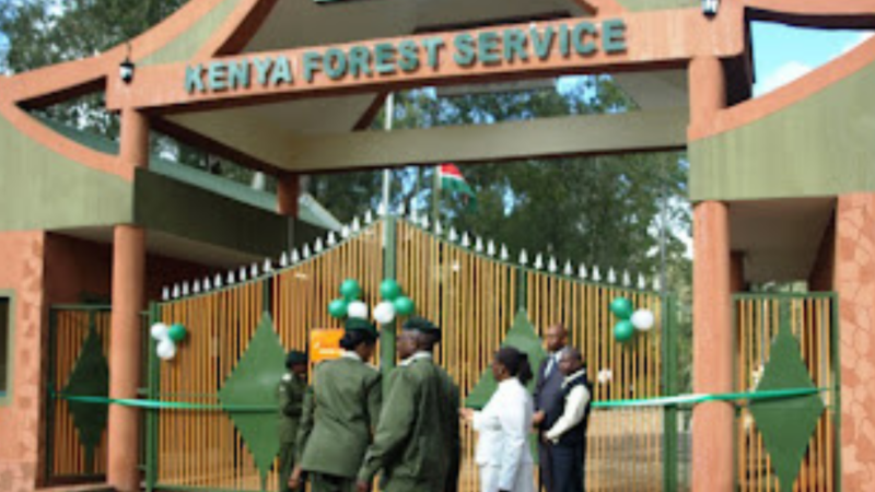 KFS addresses fatal shooting of form 3 student in Trans Nzoia
