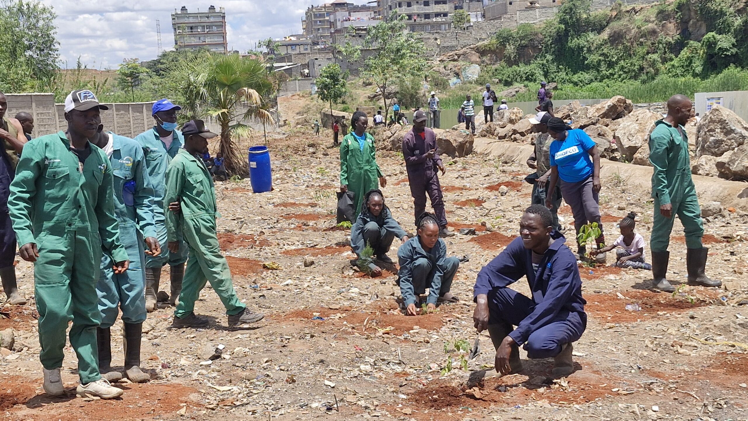 SHOFCO leads 16 CBOs in tree-planting exercise across 7 counties to ...