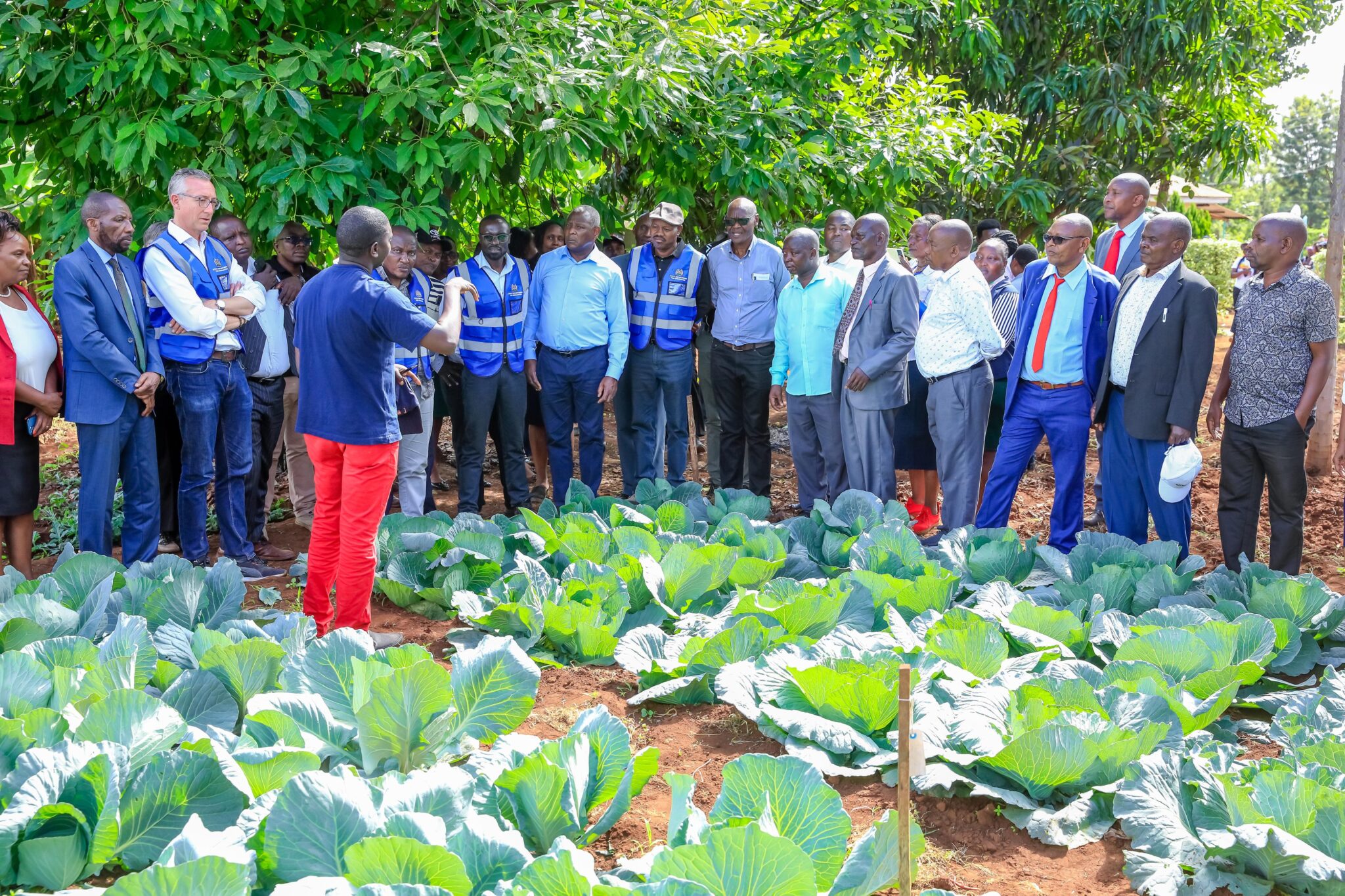 Boost for 800 Kirinyaga smallholder farmers as partners launch teo ...