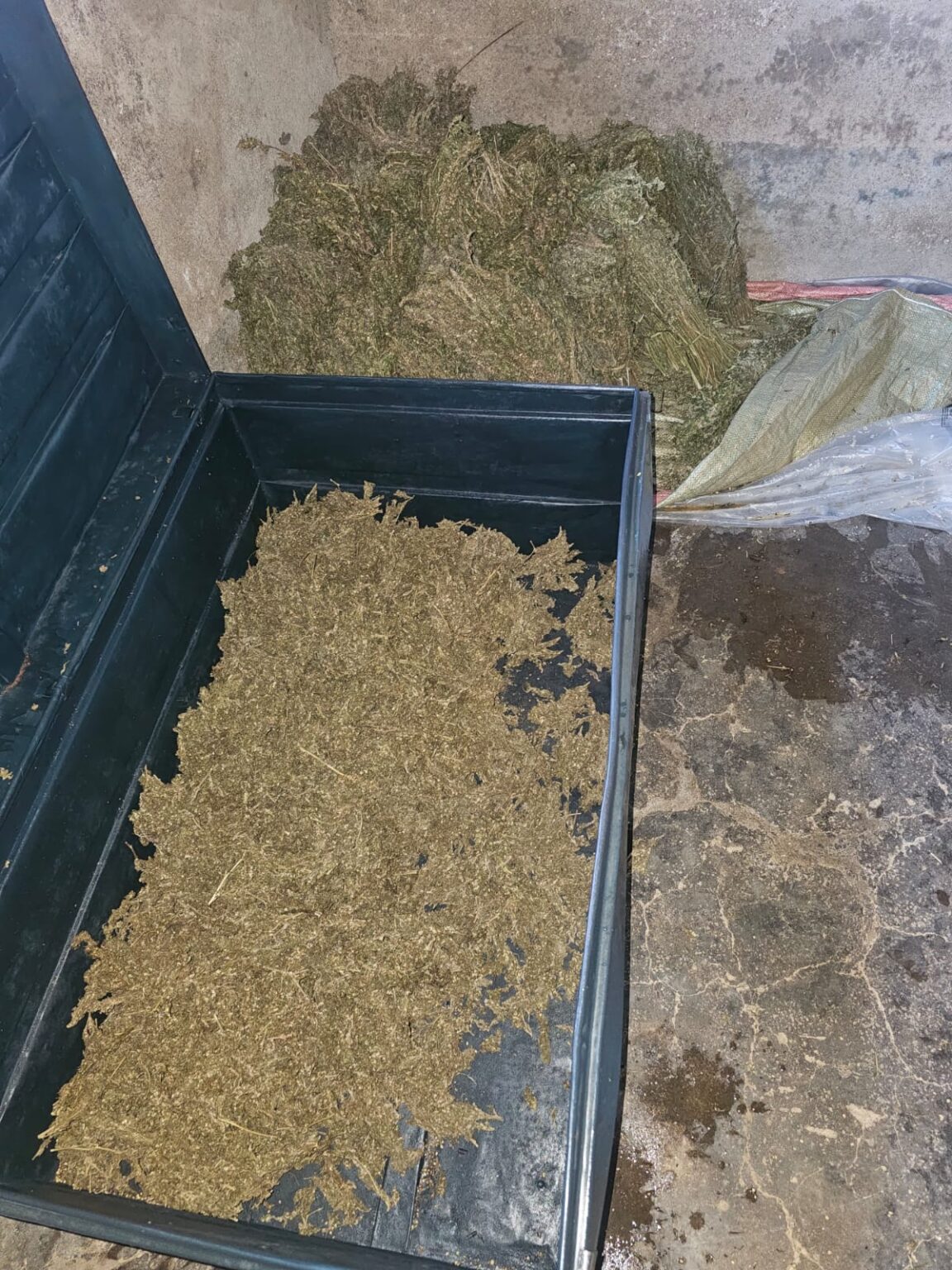 Three arrested, over 180 rolls of bhang seized as NACADA dismantles ...